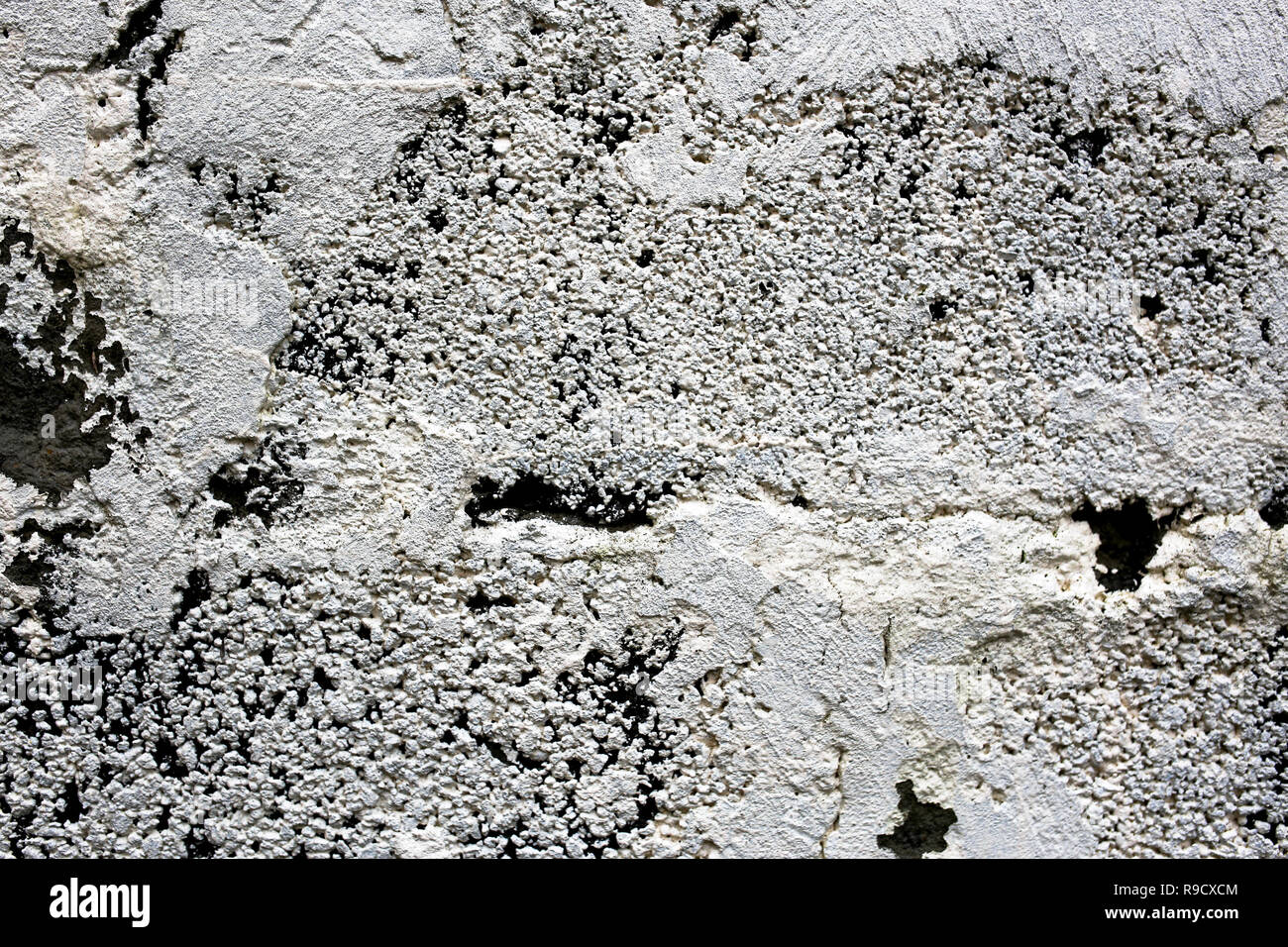 rough gray color wall texture. background for design Stock Photo - Alamy