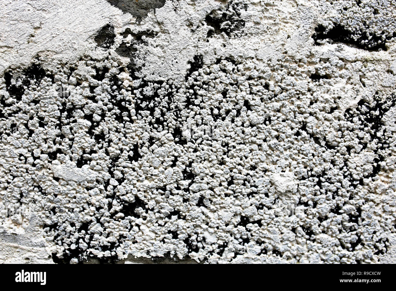 rough gray color wall texture. background for design Stock Photo - Alamy