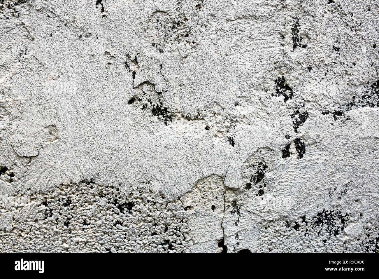 rough gray color wall texture. background for design Stock Photo - Alamy