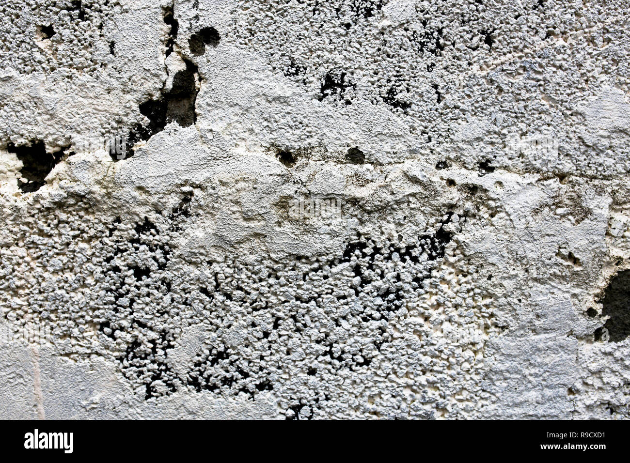 rough gray color wall texture. background for design Stock Photo - Alamy