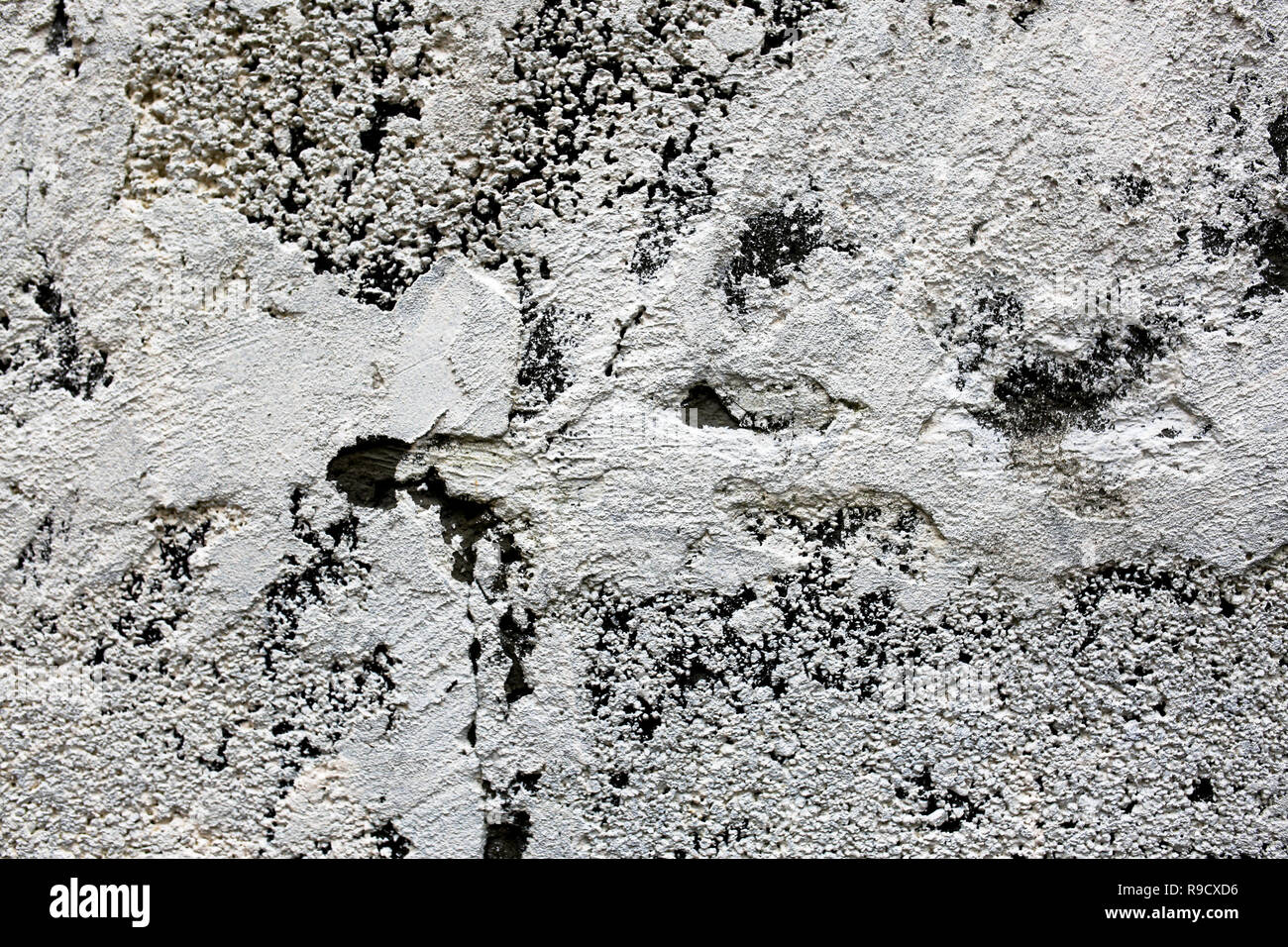 rough gray color wall texture. background for design Stock Photo - Alamy