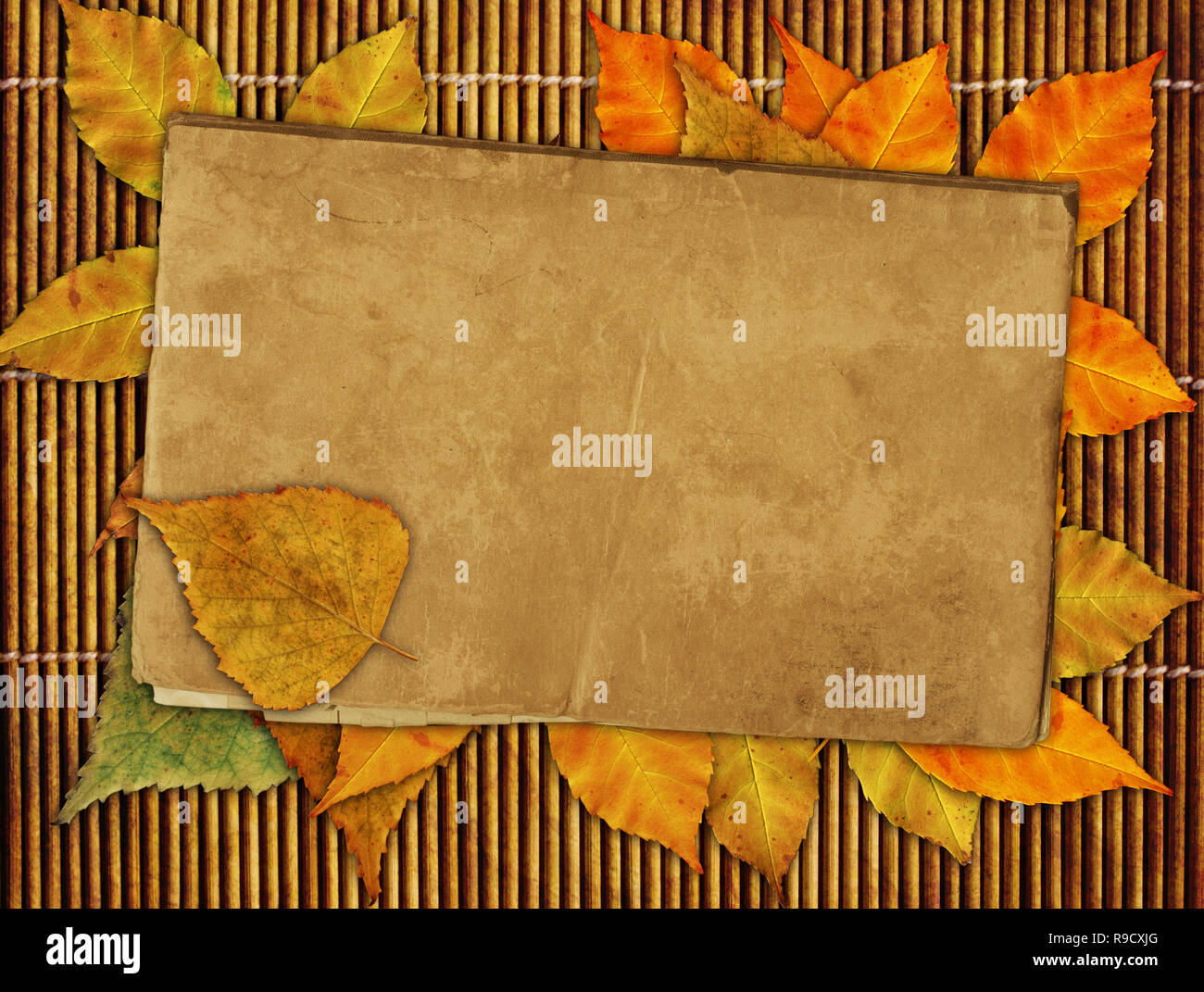 Reed sheet hi-res stock photography and images - Alamy