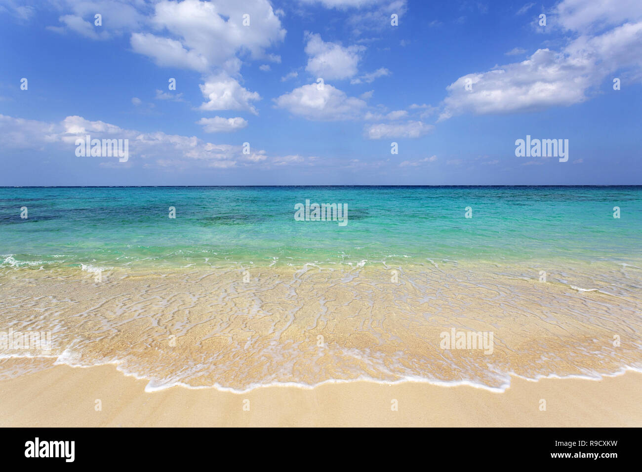 Turquoise sea water coral in hi-res stock photography and images - Alamy