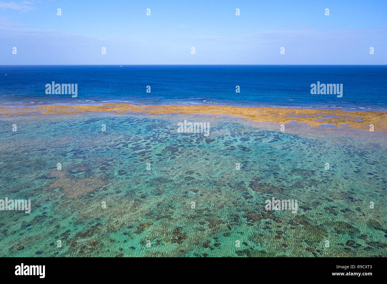 Maeda hi-res stock photography and images - Alamy