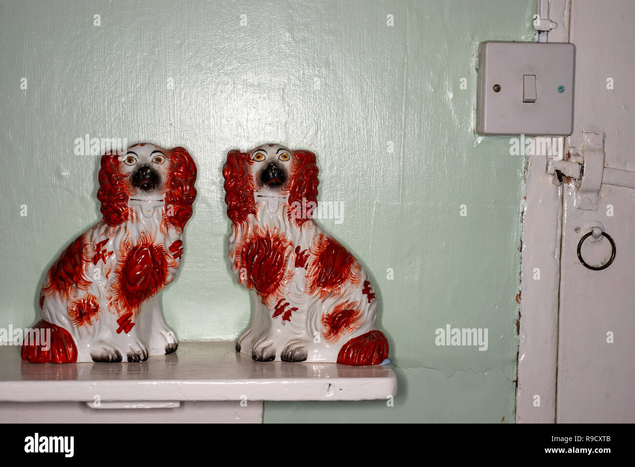 Scary dogs hi-res stock photography and images - Alamy