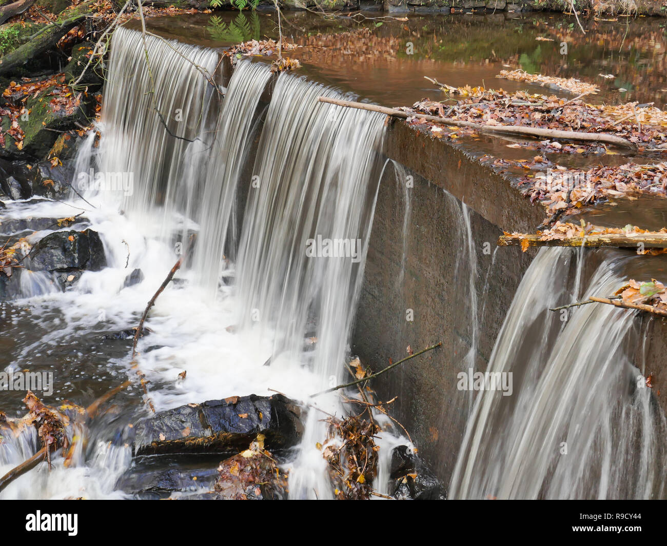 Waterfall in the woods Stock Photo - Alamy