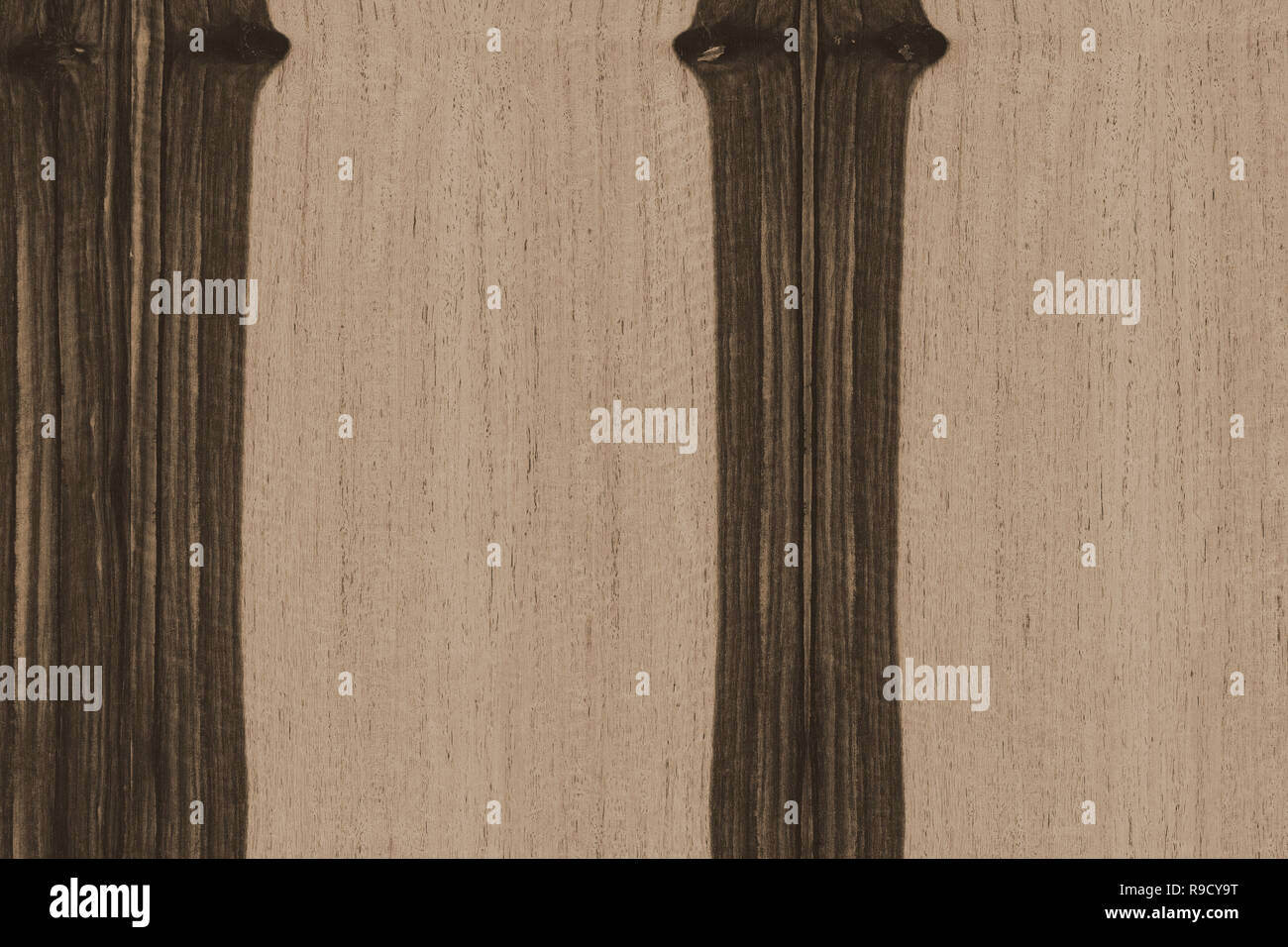 african ebony tree wooden structure texture background wallpaper Stock ...