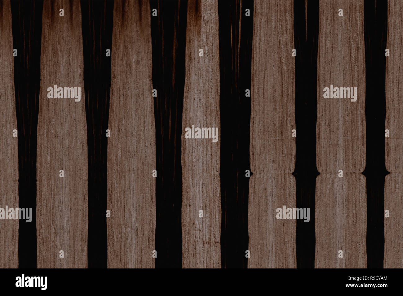 african ebony tree wooden structure texture background wallpaper Stock ...
