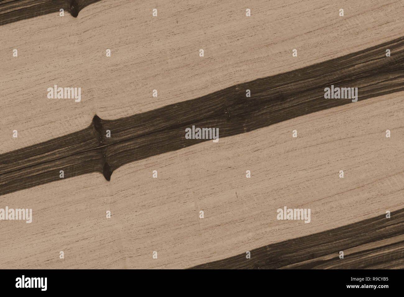 african ebony tree wooden structure texture background wallpaper Stock ...