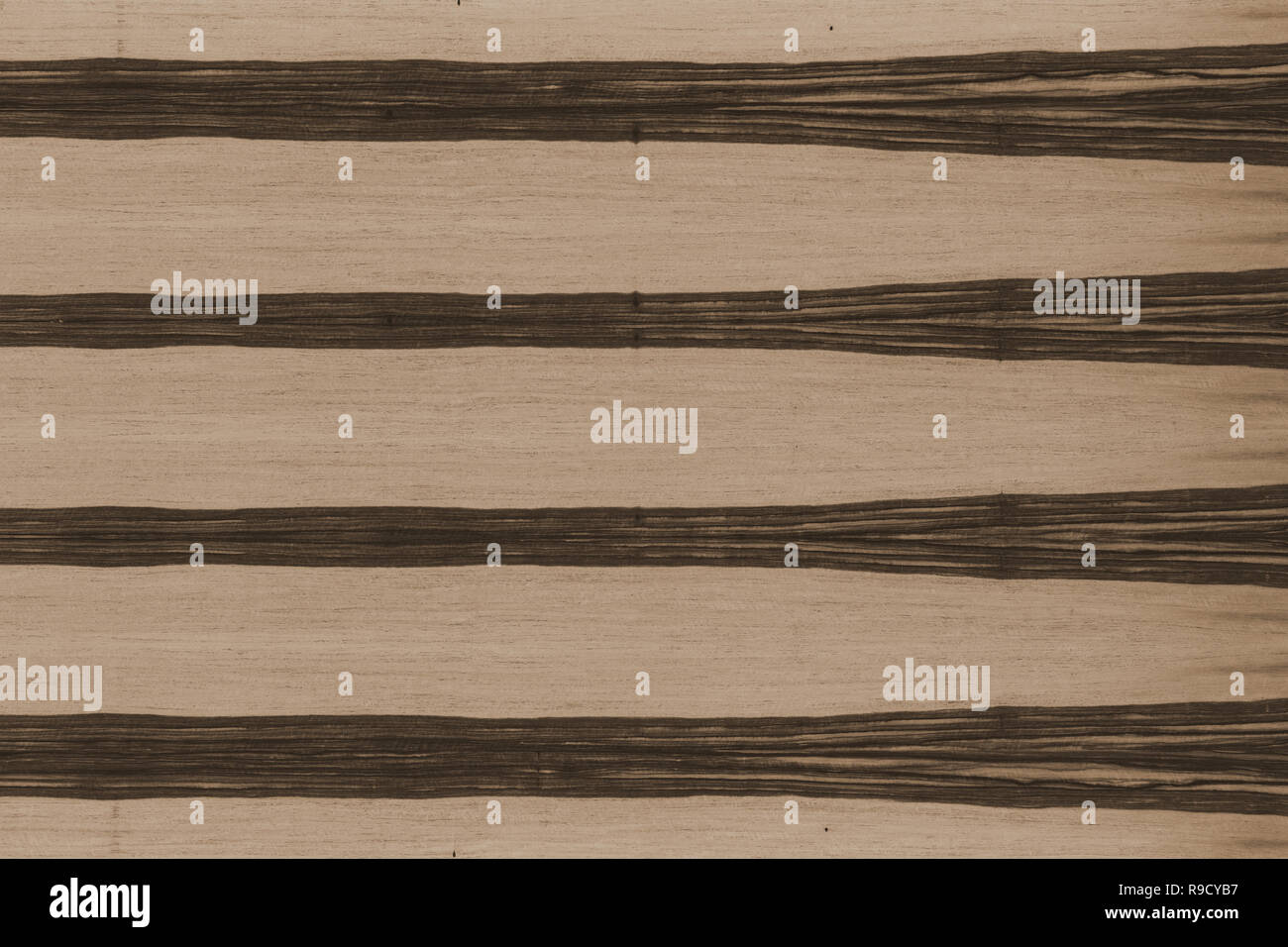 african ebony tree wooden structure texture background wallpaper Stock ...