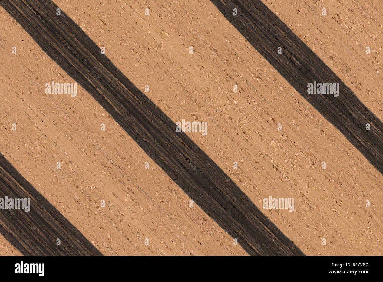 african ebony tree wooden structure texture background wallpaper Stock ...