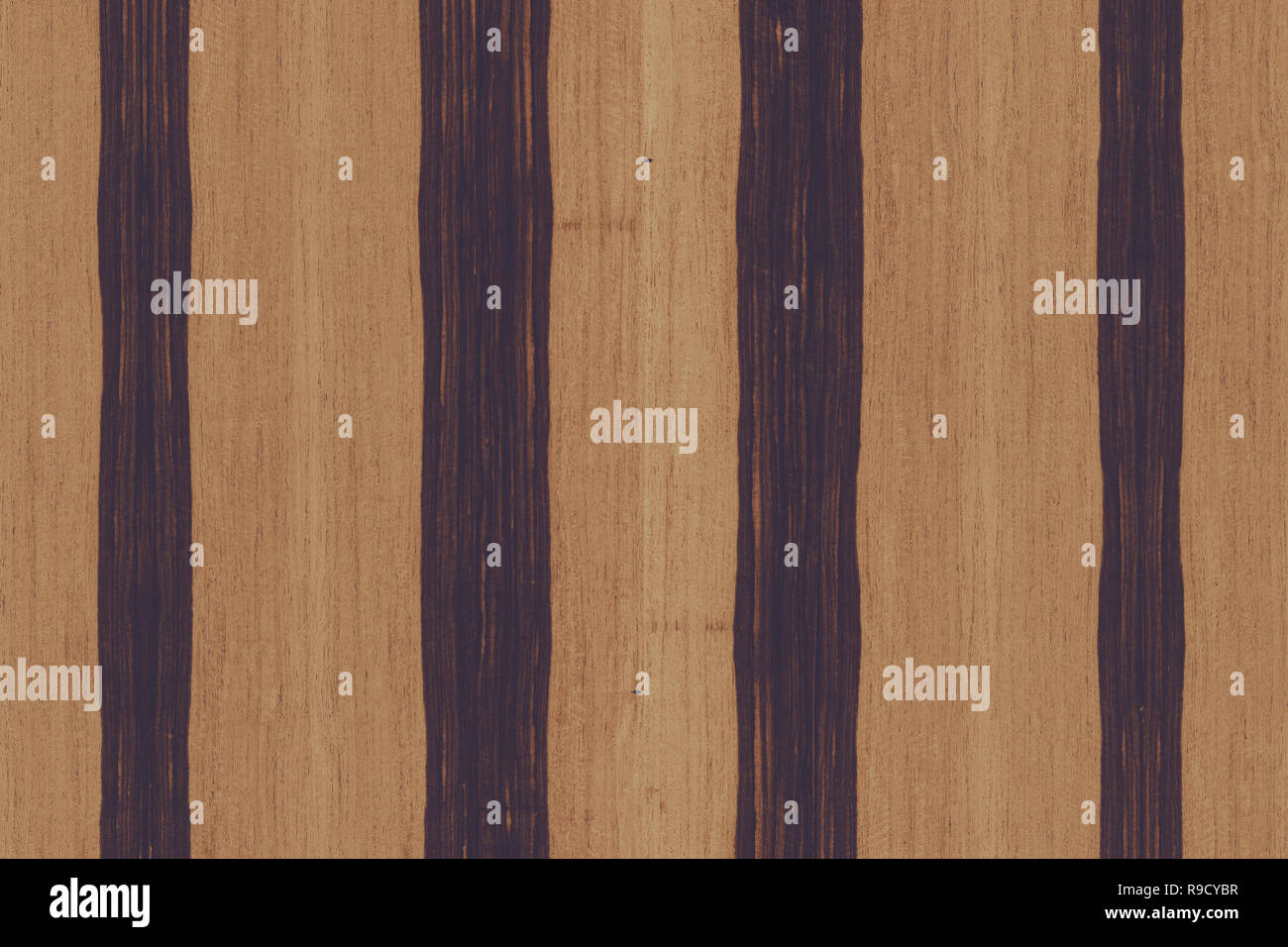 african ebony tree wooden structure texture background wallpaper Stock ...