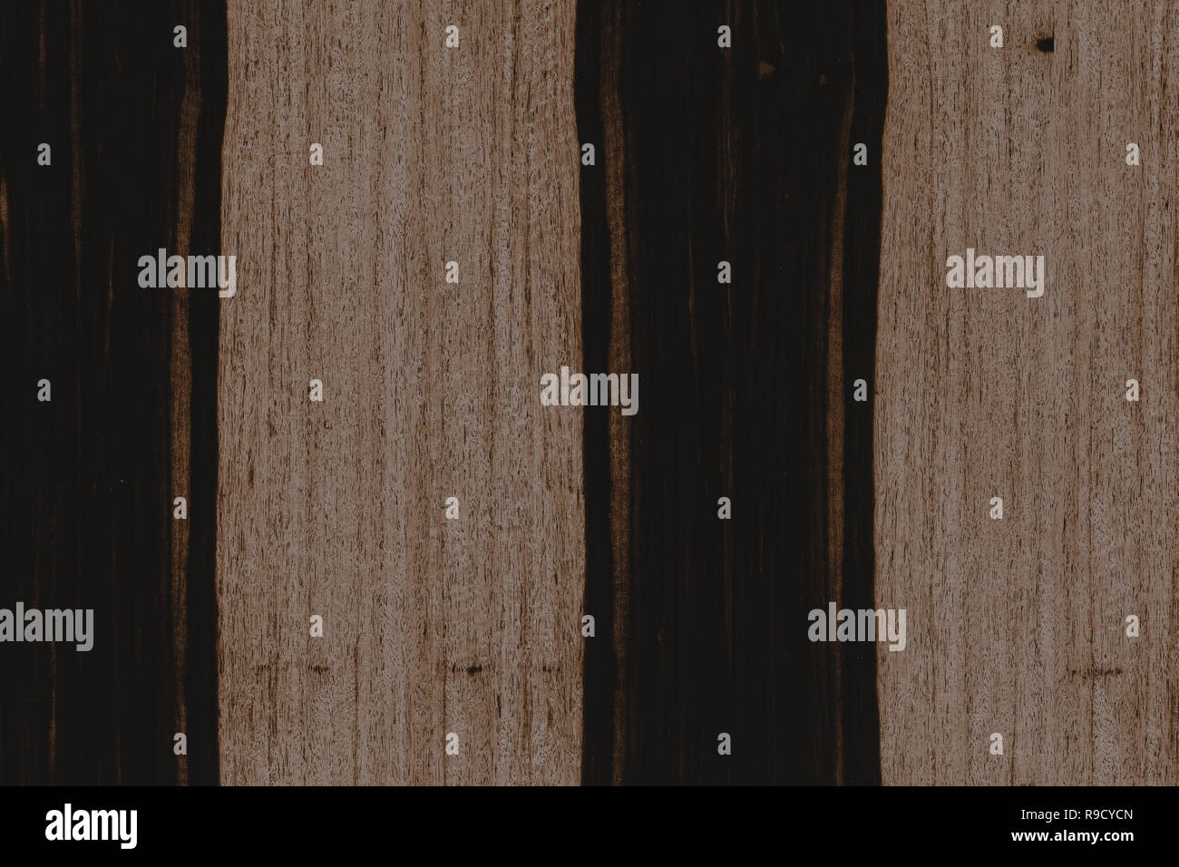 african ebony tree wooden structure texture background wallpaper Stock ...
