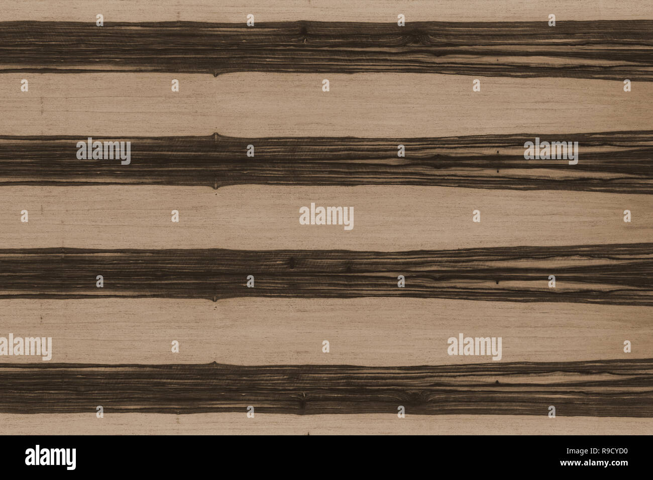 african ebony tree wooden structure texture background wallpaper Stock ...