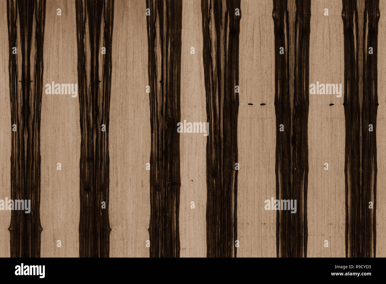 african ebony tree wooden structure texture background wallpaper Stock ...