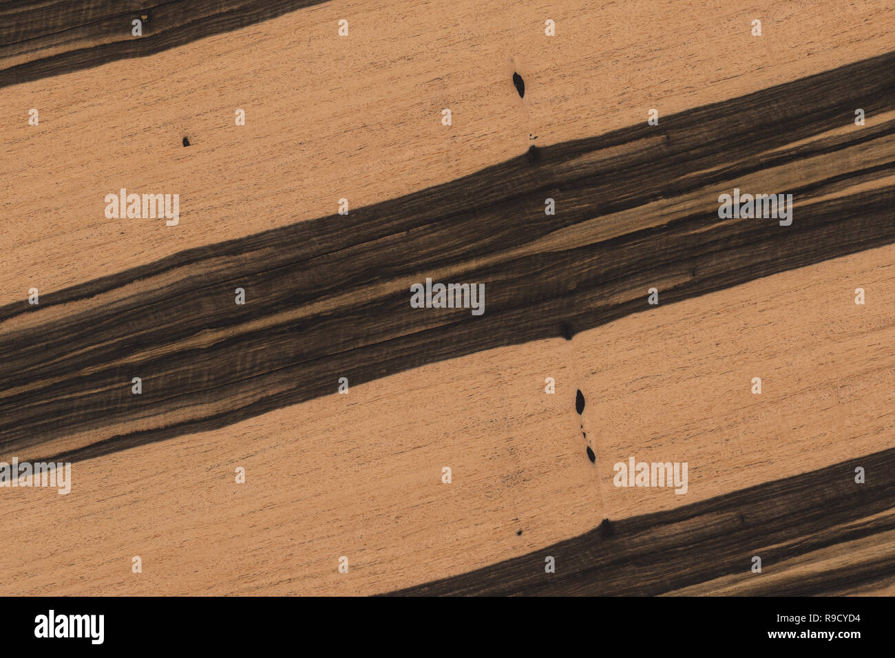 african ebony tree wooden structure texture background wallpaper Stock ...