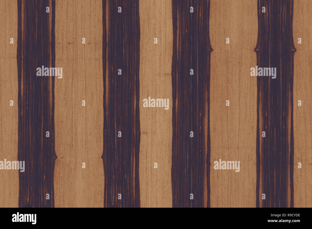 african ebony tree wooden structure texture background wallpaper Stock ...