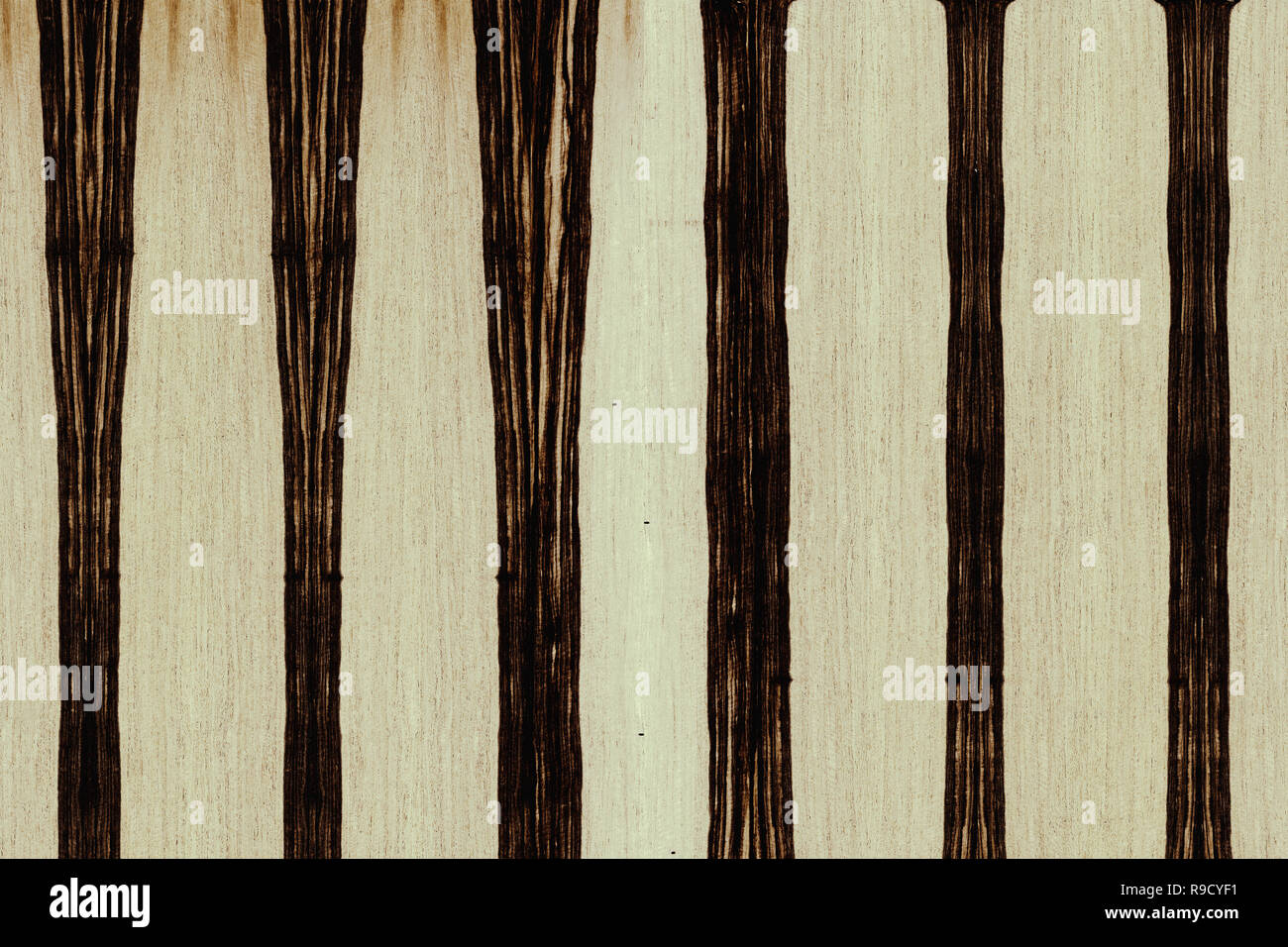 african ebony tree wooden structure texture background wallpaper Stock ...
