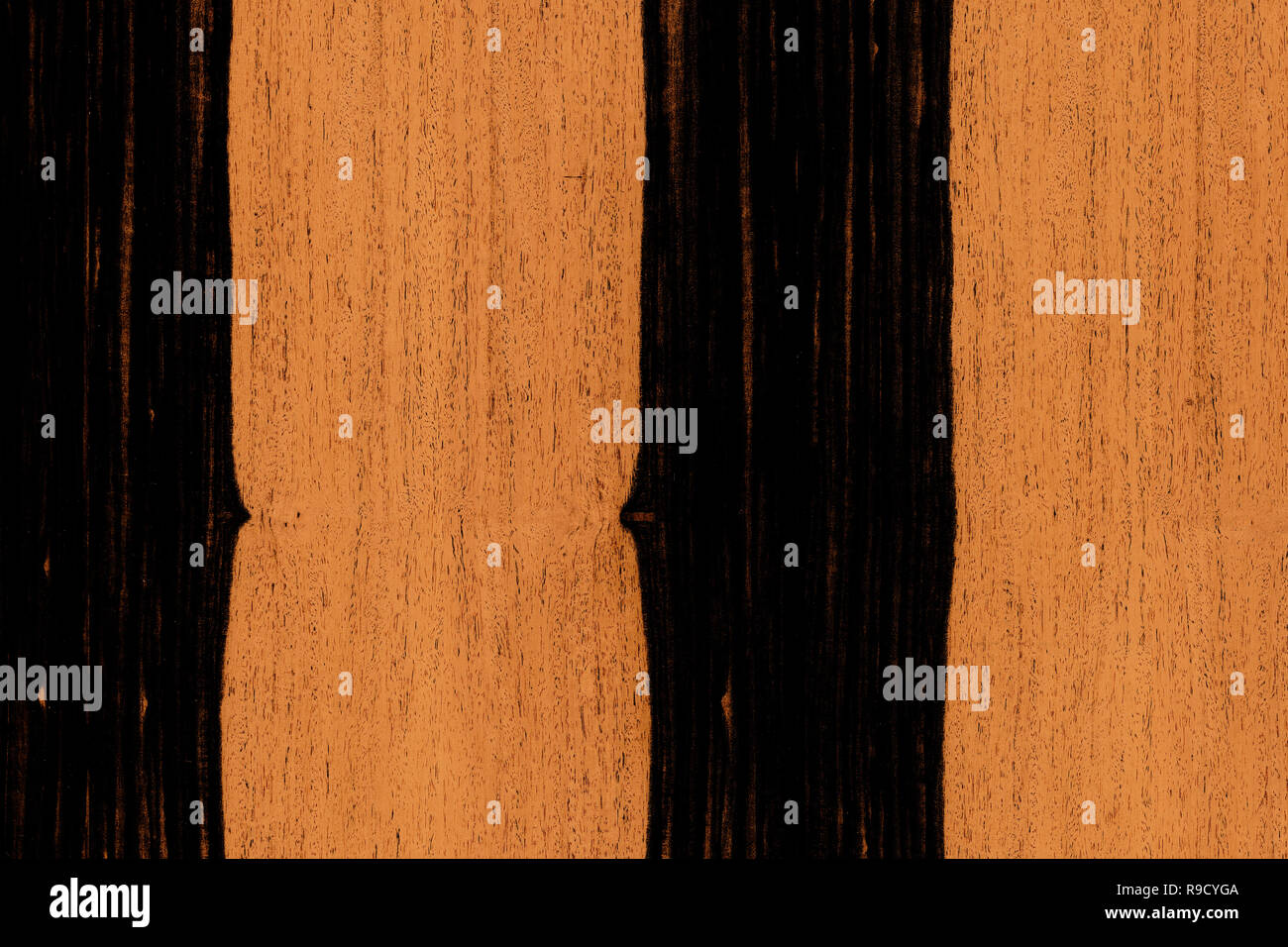 african ebony tree wooden structure texture background wallpaper Stock ...