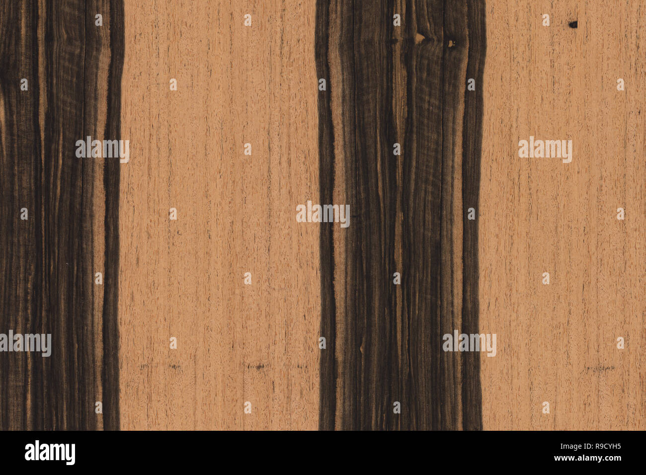 african ebony tree wooden structure texture background wallpaper Stock ...