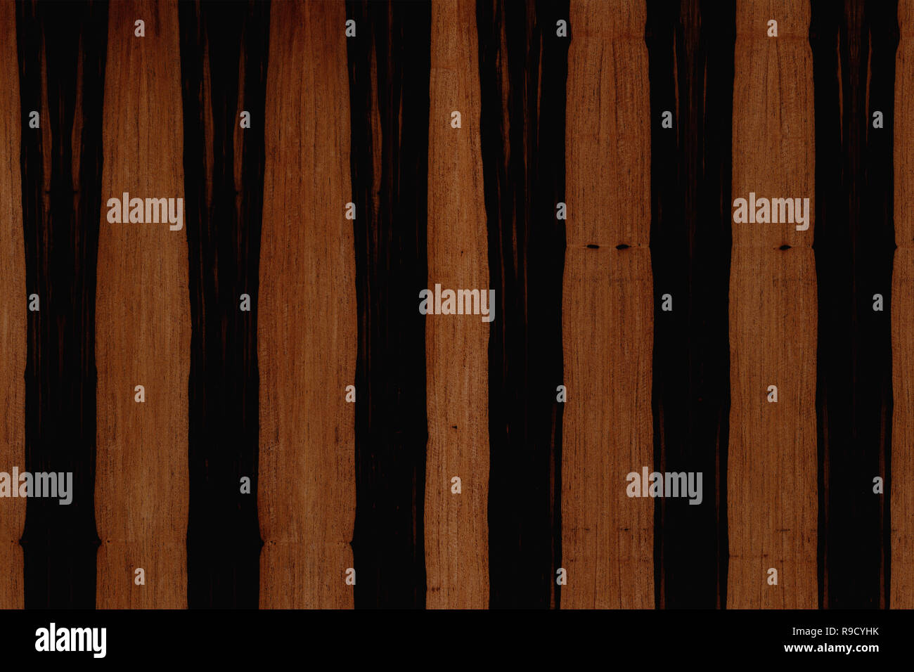 african ebony tree wooden structure texture background wallpaper Stock ...