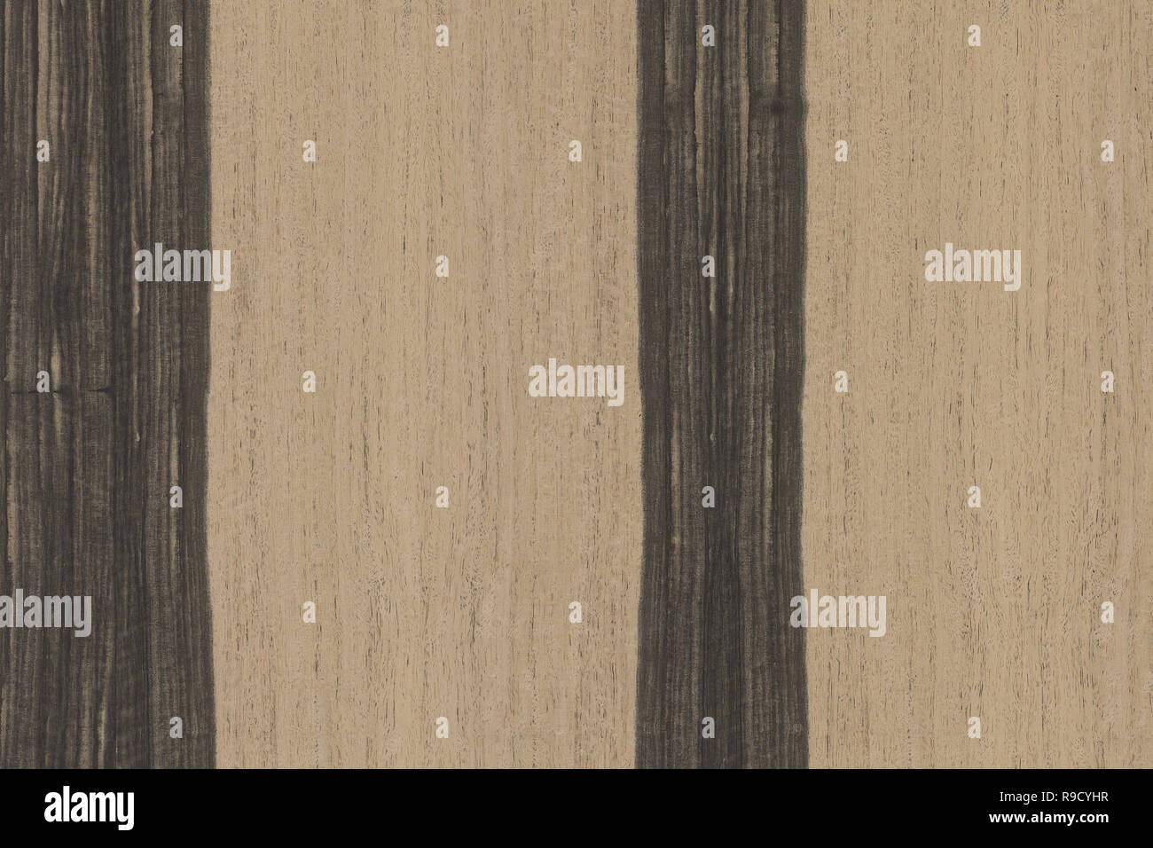 african ebony tree wooden structure texture background wallpaper Stock ...