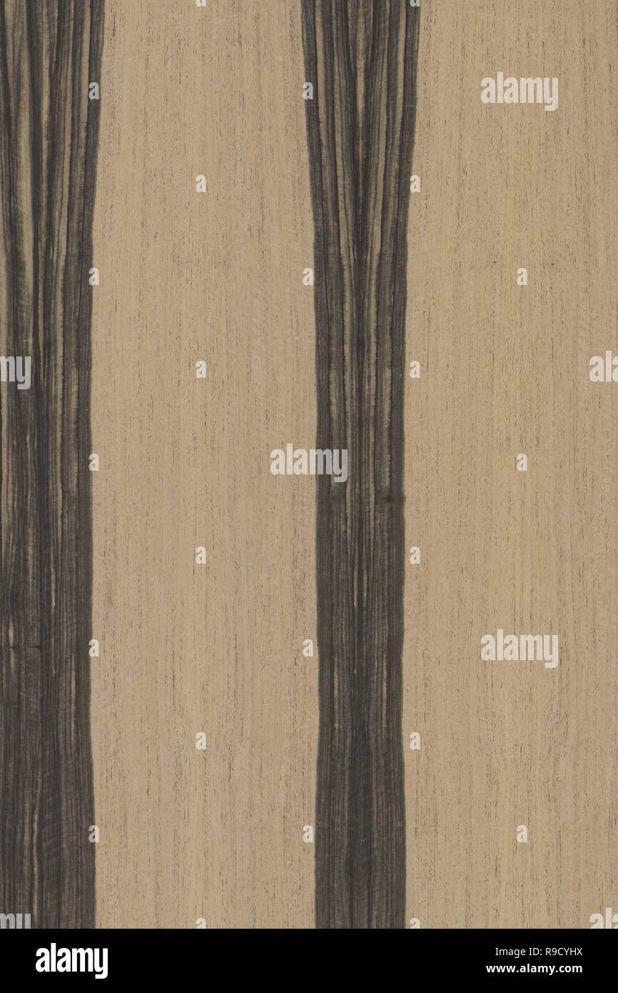 african ebony tree wooden structure texture background wallpaper Stock ...