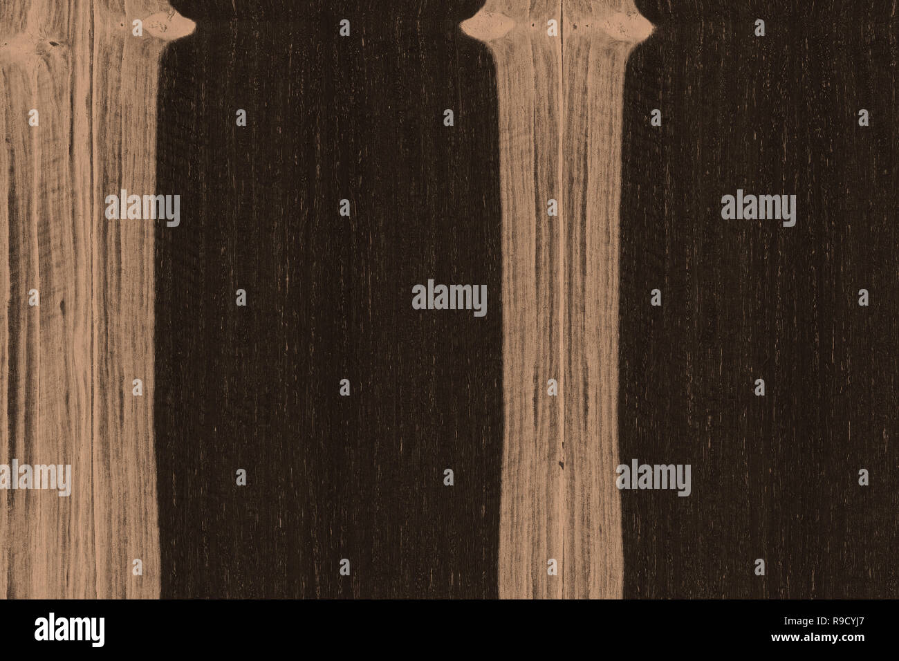 african ebony tree wooden structure texture background wallpaper Stock ...