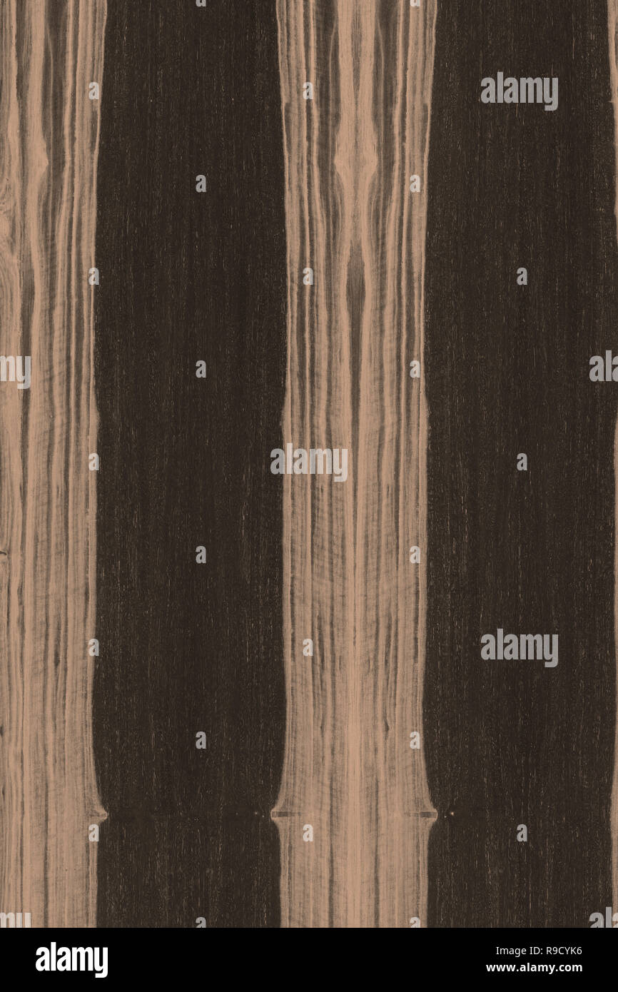 african ebony tree wooden structure texture background wallpaper Stock ...