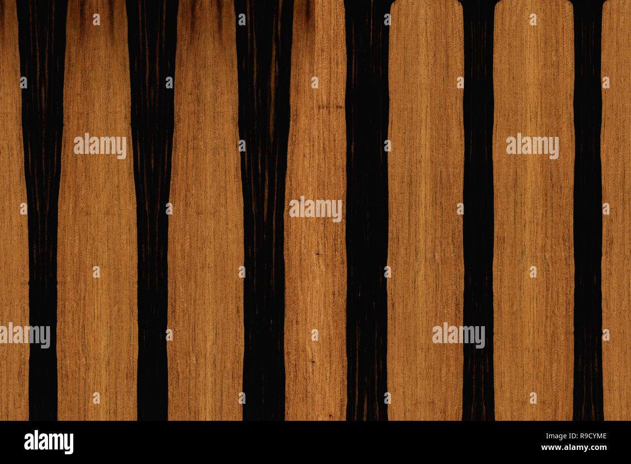 african ebony tree wooden structure texture background wallpaper Stock ...