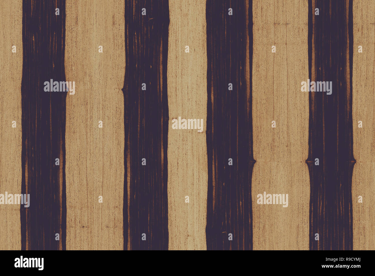 african ebony tree wooden structure texture background wallpaper Stock ...