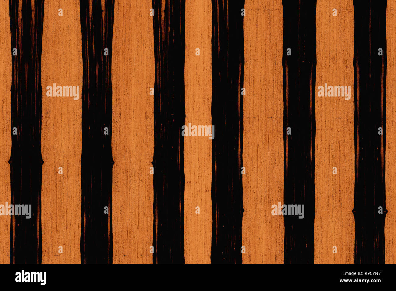 african ebony tree wooden structure texture background wallpaper Stock ...
