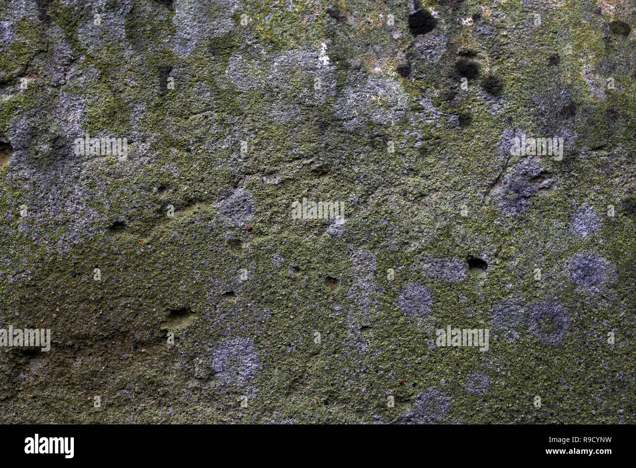 rough gray color wall texture. background for design Stock Photo - Alamy