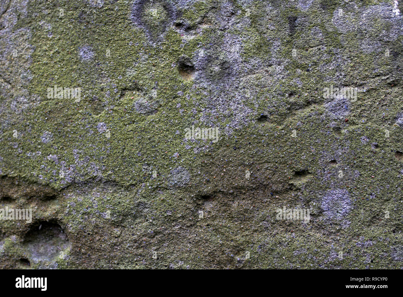 rough gray color wall texture. background for design Stock Photo - Alamy