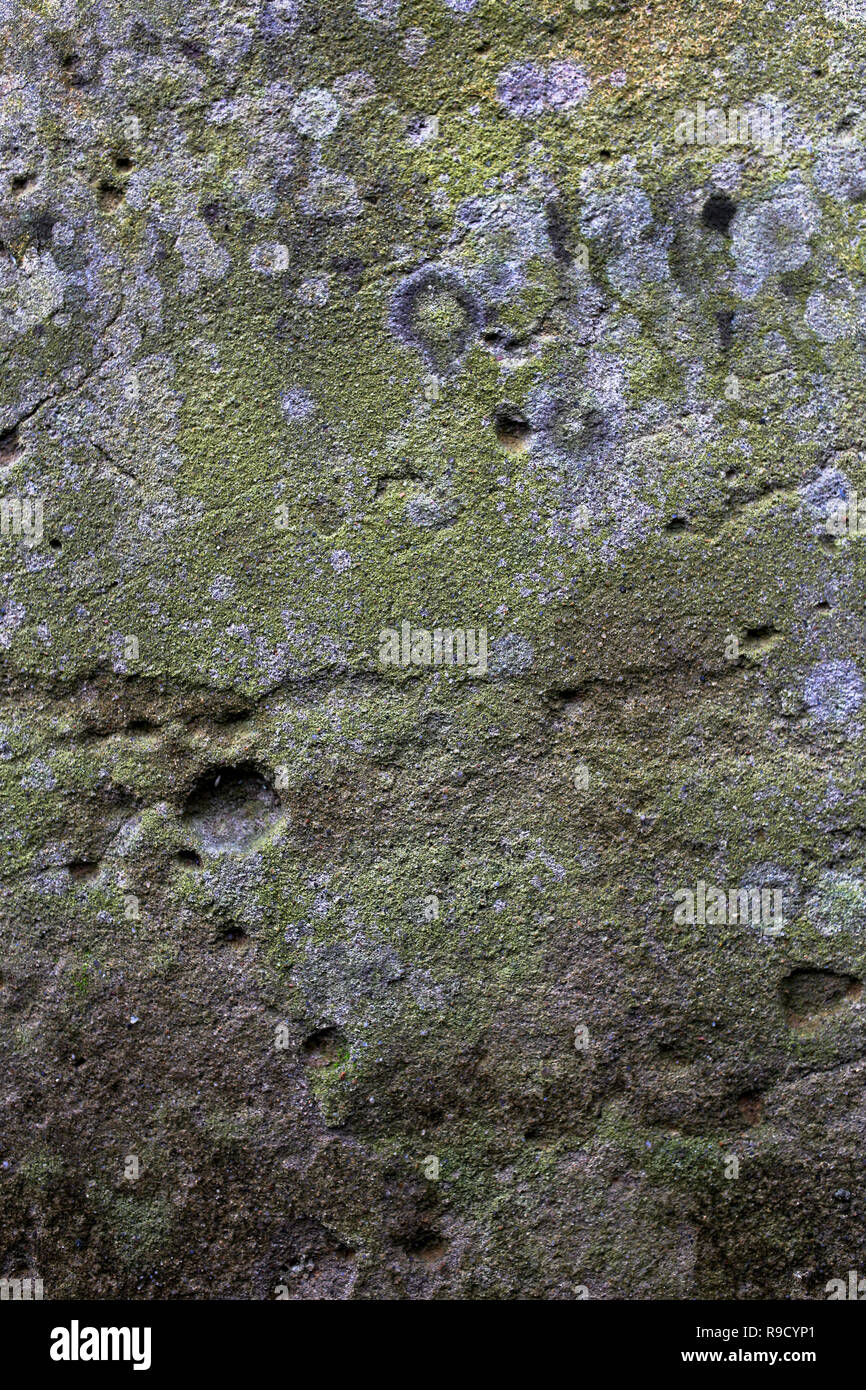 rough gray color wall texture. background for design Stock Photo - Alamy