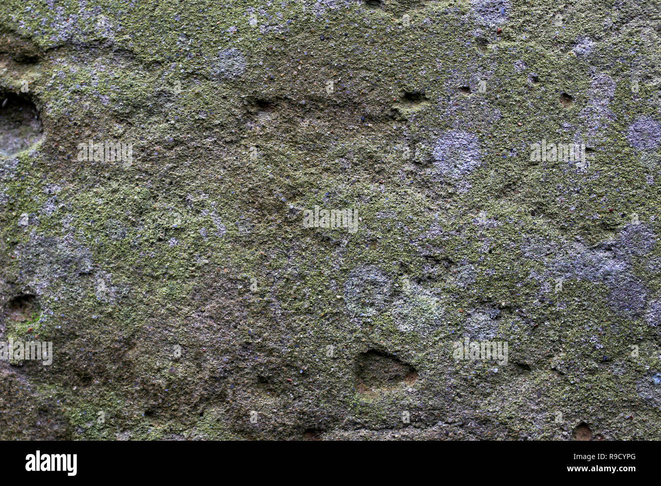 rough gray color wall texture. background for design Stock Photo - Alamy