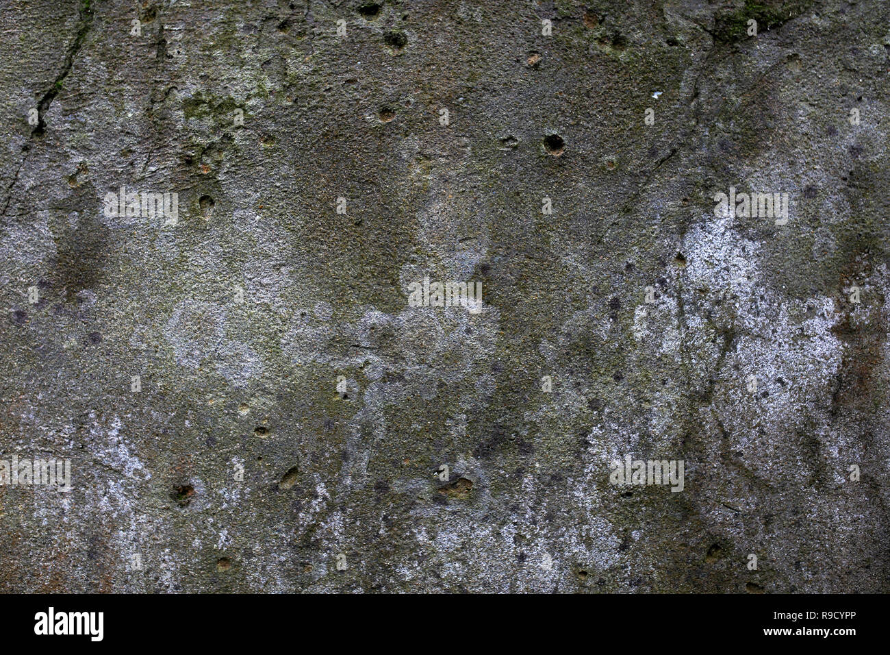 rough gray color wall texture. background for design Stock Photo - Alamy