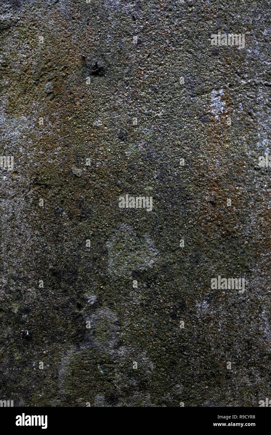 rough gray color wall texture. background for design Stock Photo - Alamy