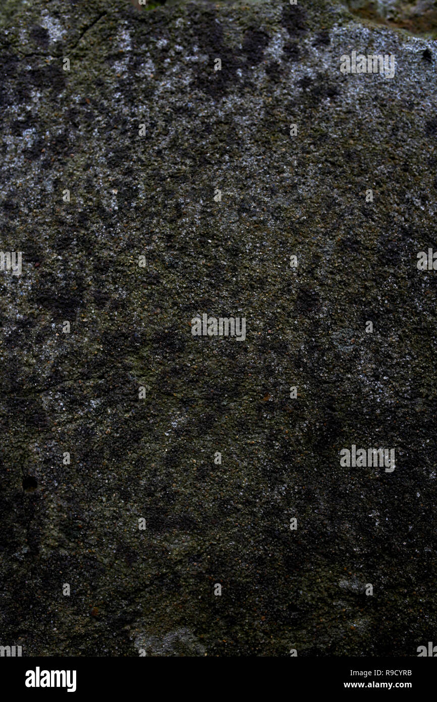 rough gray color wall texture. background for design Stock Photo - Alamy