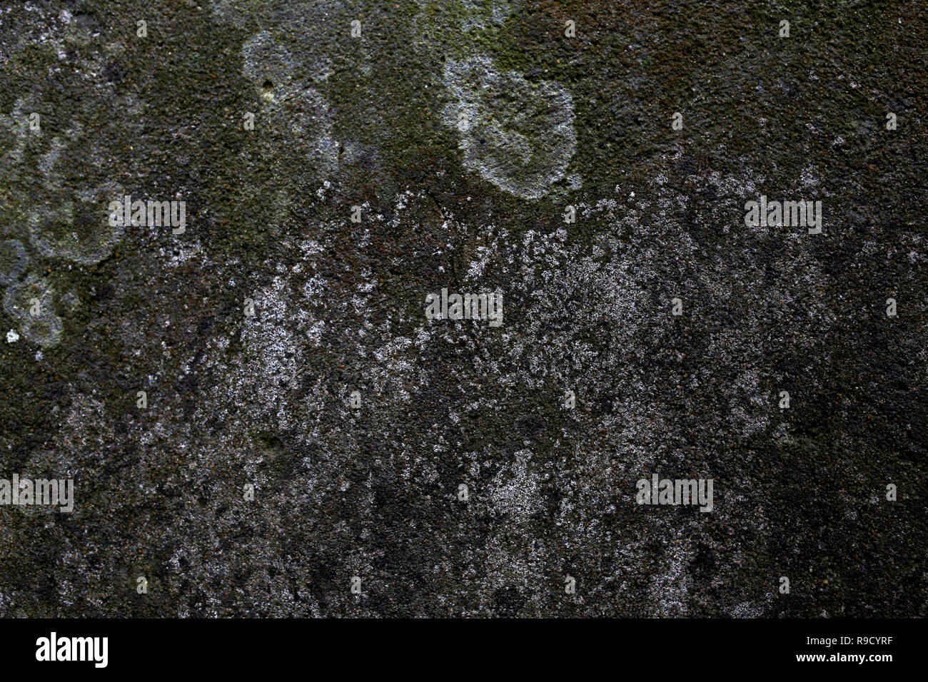 rough gray color wall texture. background for design Stock Photo - Alamy