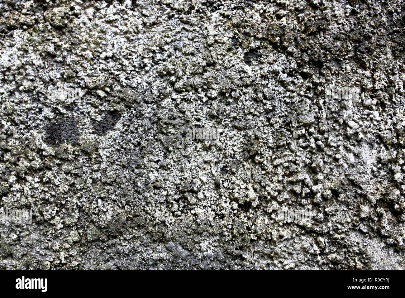 rough gray color wall texture. background for design Stock Photo - Alamy