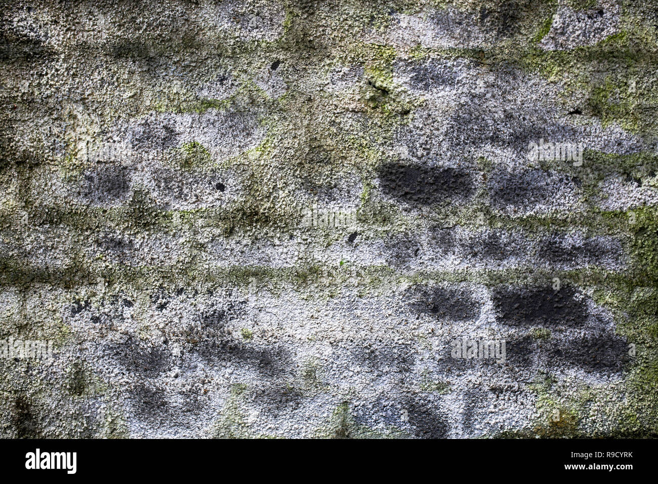 rough gray color wall texture. background for design Stock Photo - Alamy