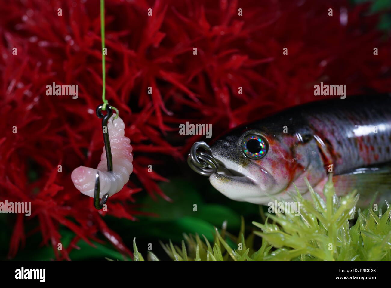 Artificial aquarium with artificial fish that are good for fishing for ...