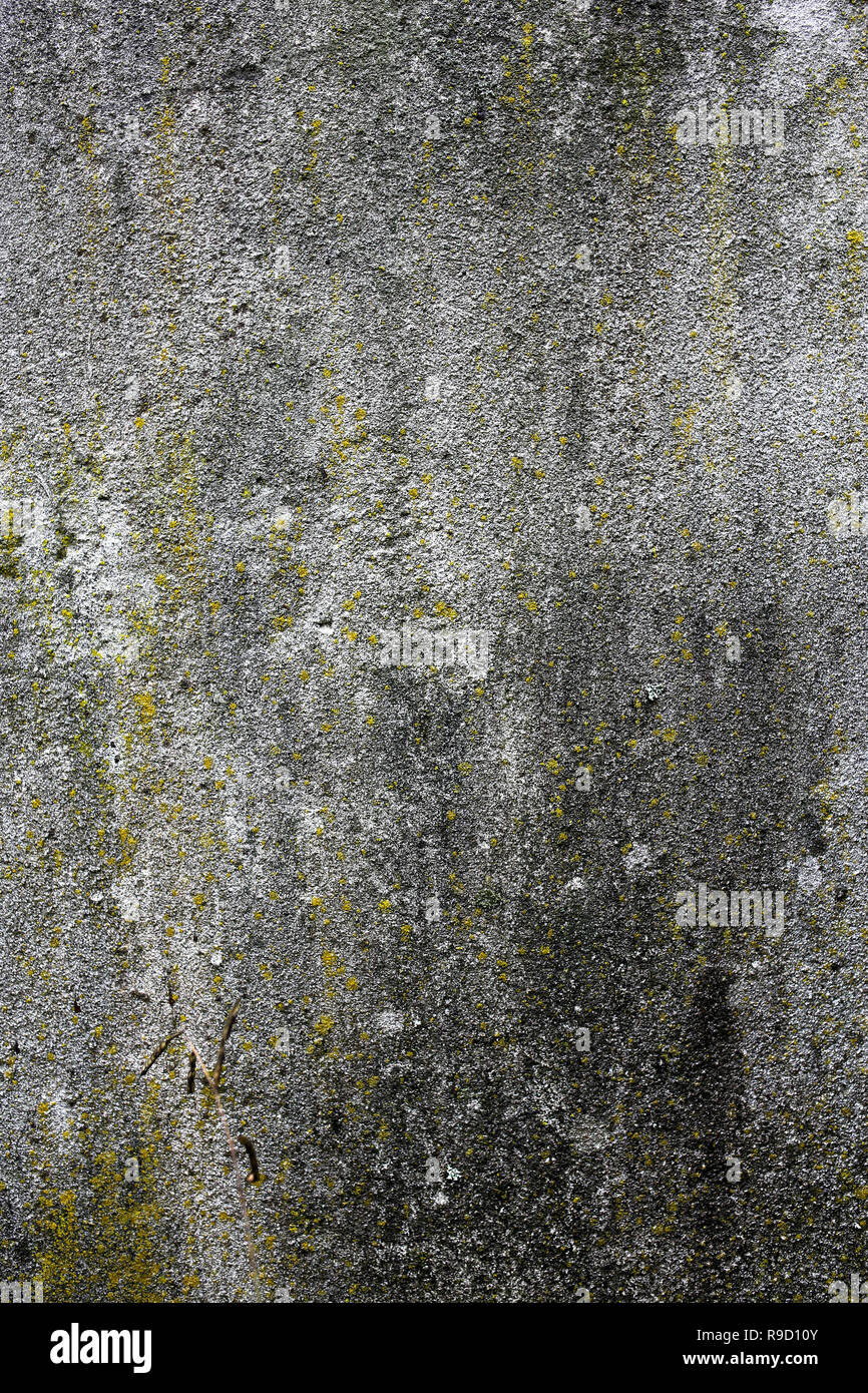 rough gray color wall texture. background for design Stock Photo - Alamy