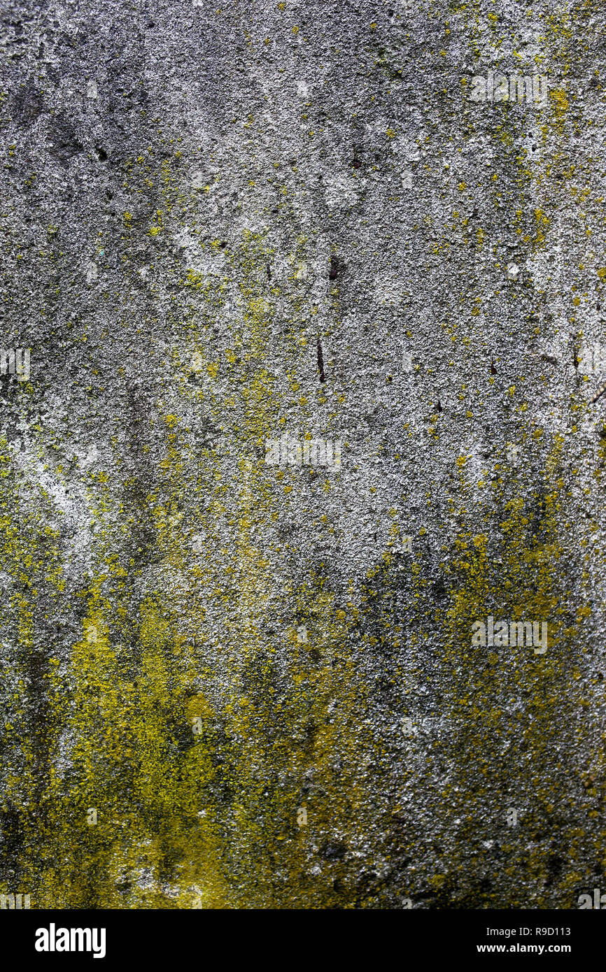 rough gray color wall texture. background for design Stock Photo - Alamy