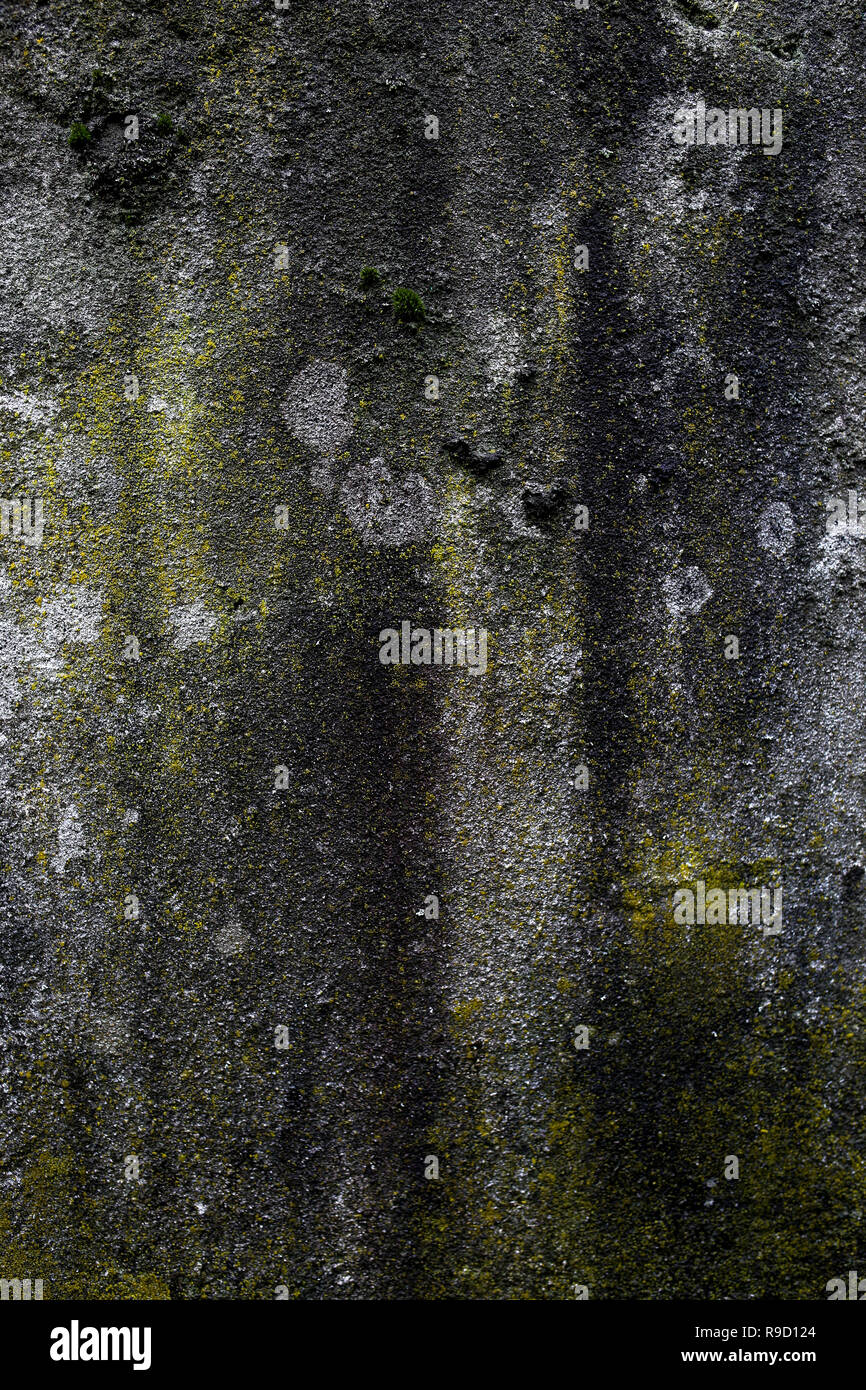 rough gray color wall texture. background for design Stock Photo - Alamy