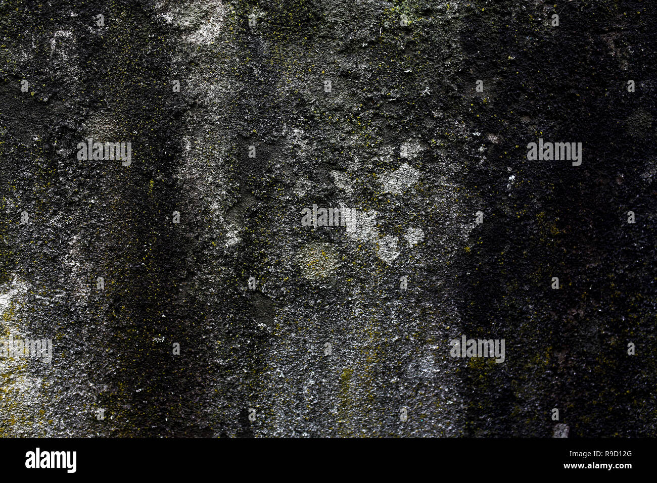 rough gray color wall texture. background for design Stock Photo - Alamy