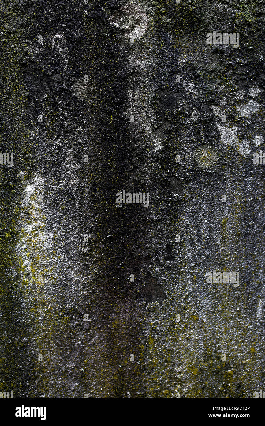 rough gray color wall texture. background for design Stock Photo - Alamy