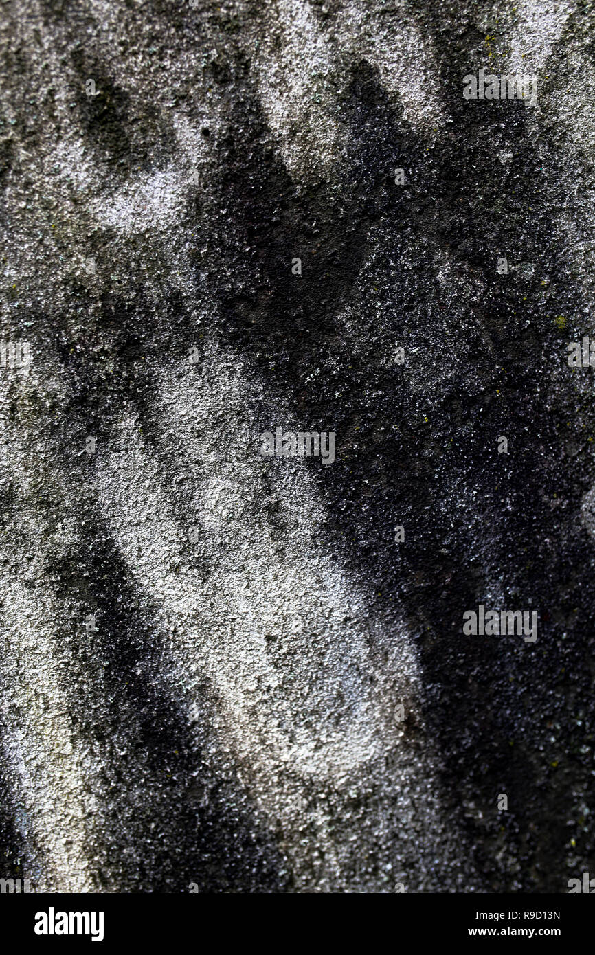 rough gray color wall texture. background for design Stock Photo - Alamy