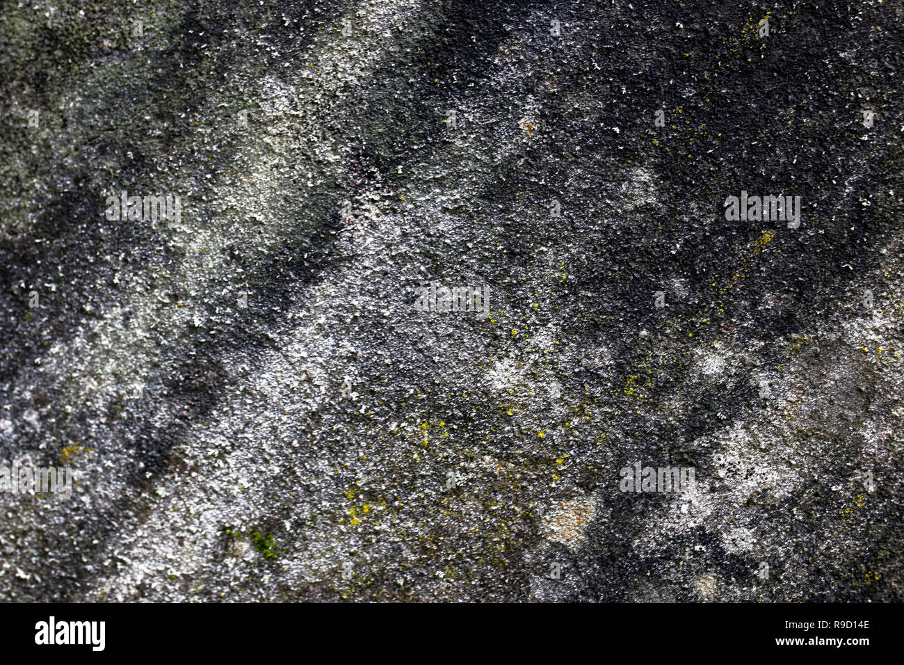 rough gray color wall texture. background for design Stock Photo - Alamy